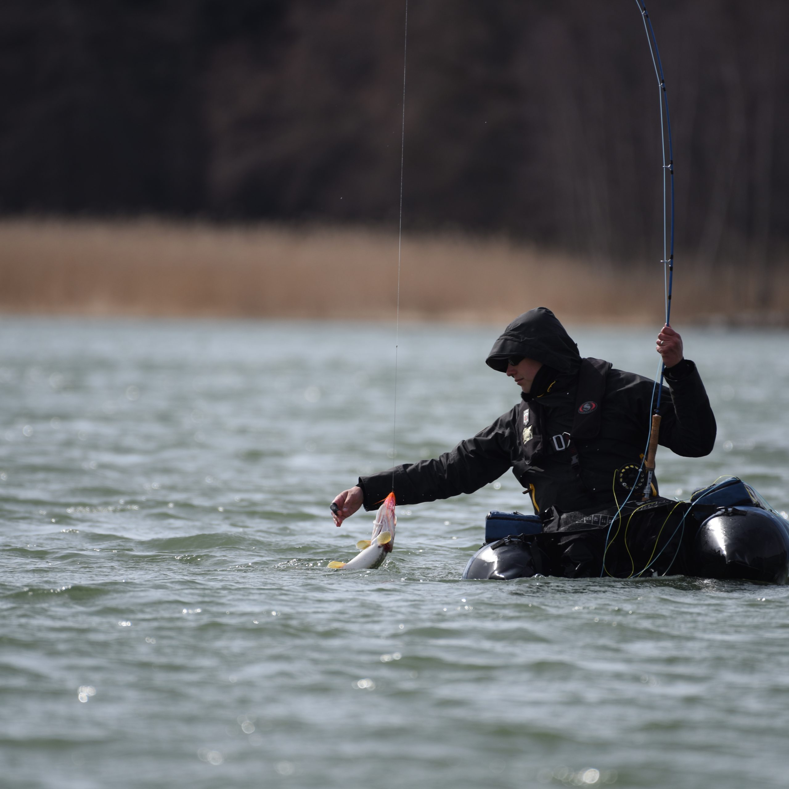 Hauen perhokalastus - Kalastajan Kanava