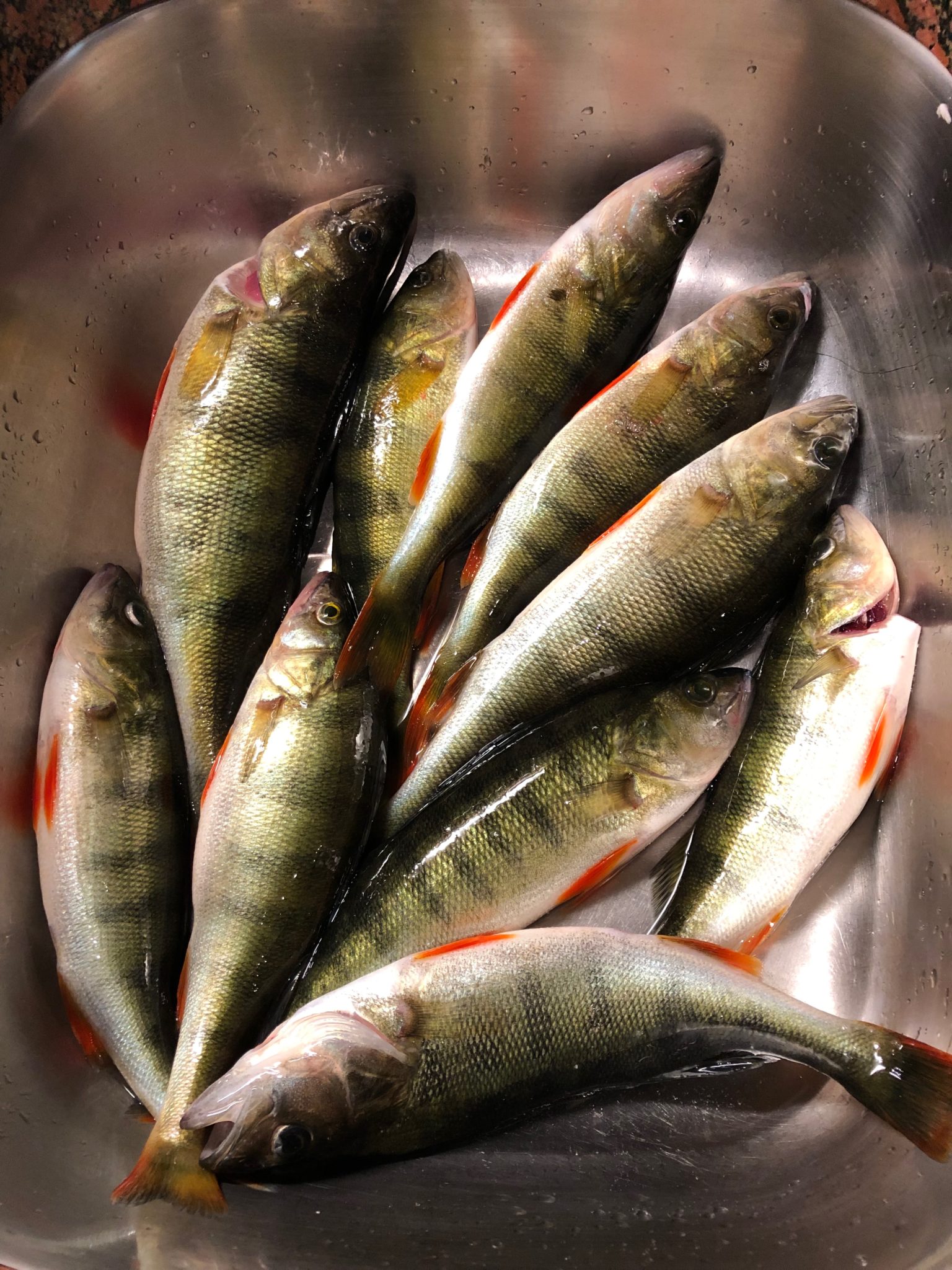 Kalan käsittely - Kalastajan Kanava