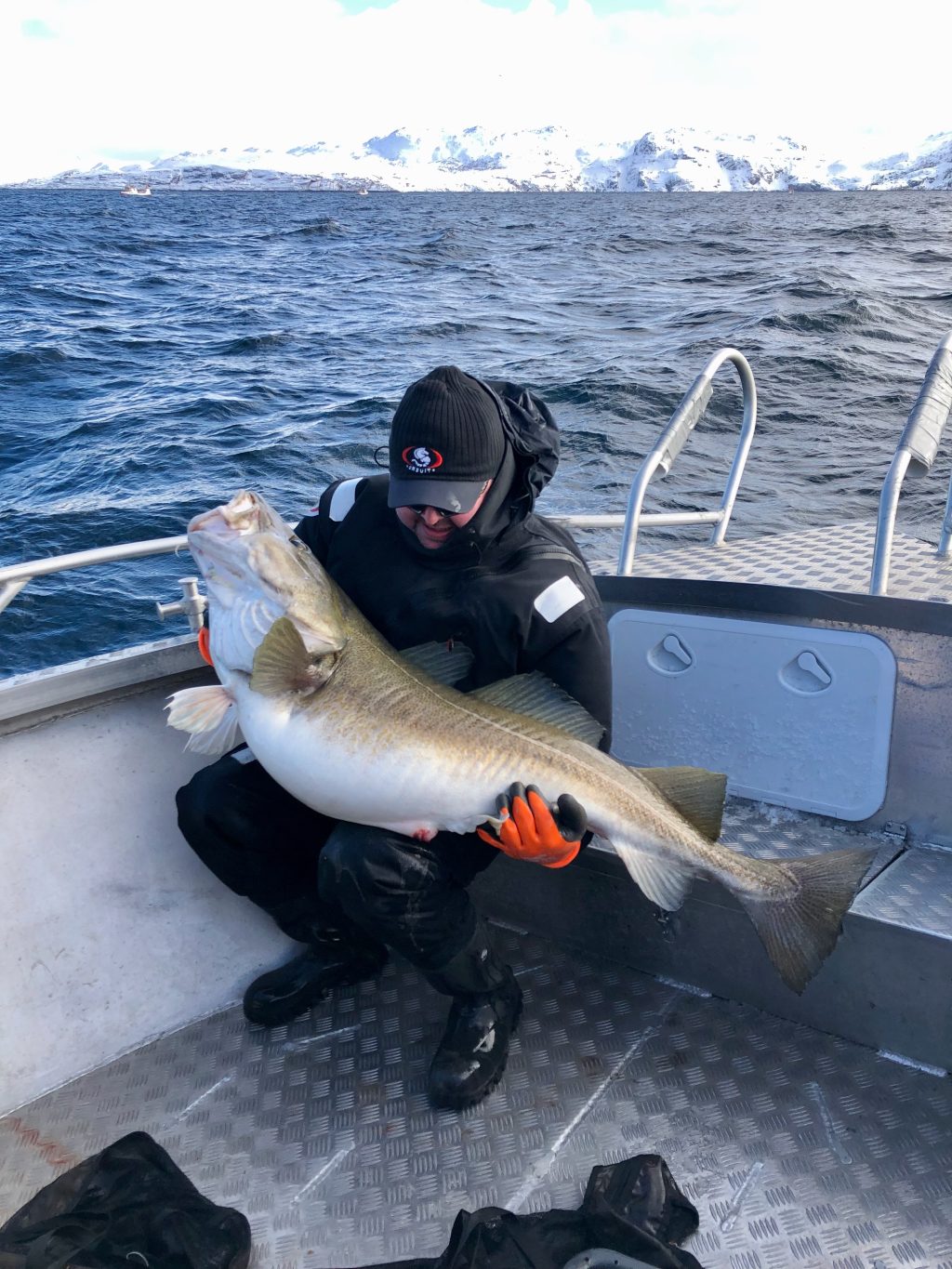 Suomen suurin kala turska 29,55 kg - Kalastajan Kanava