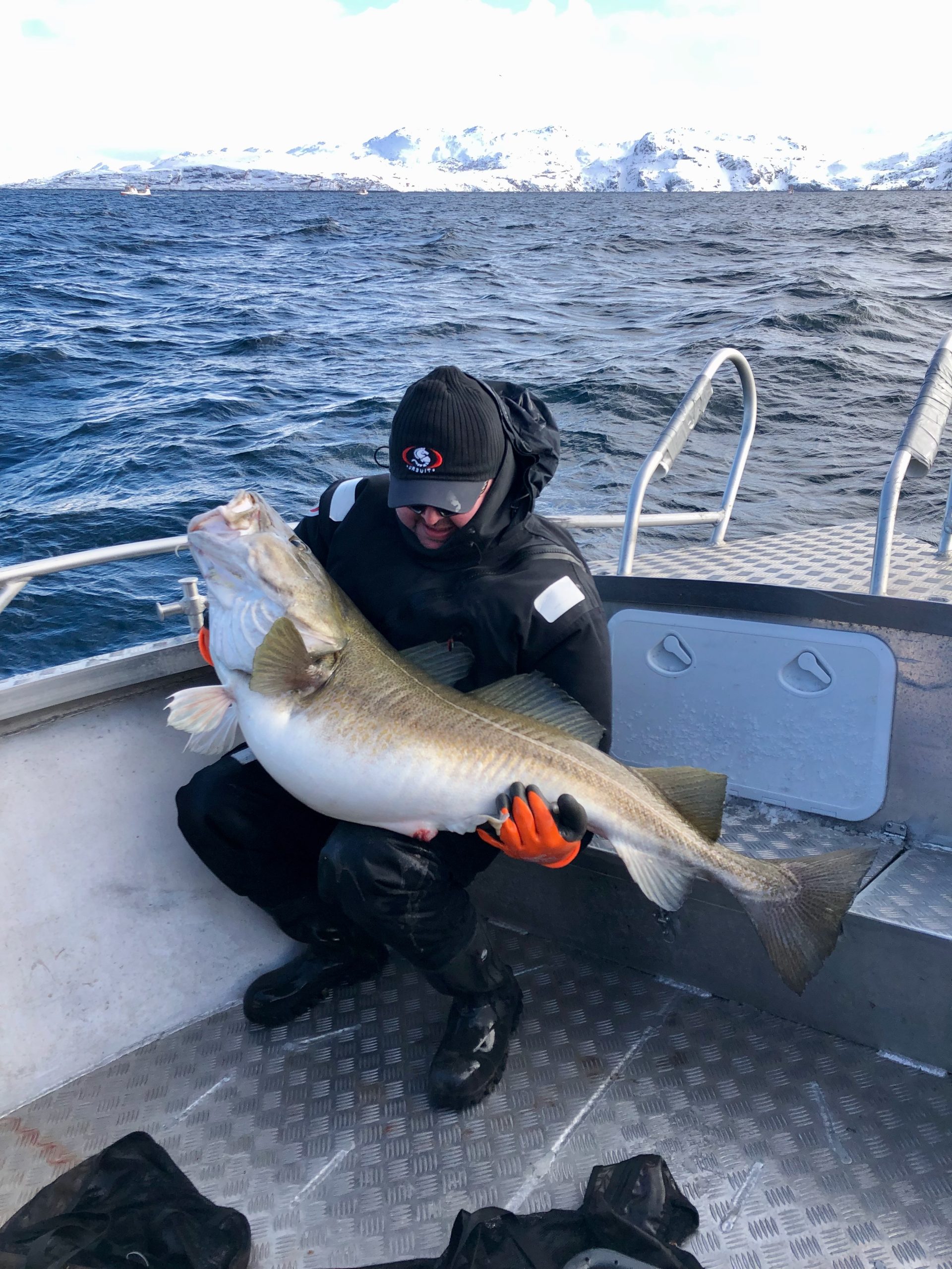 Suomen suurin kala turska 29,55 kg - Kalastajan Kanava