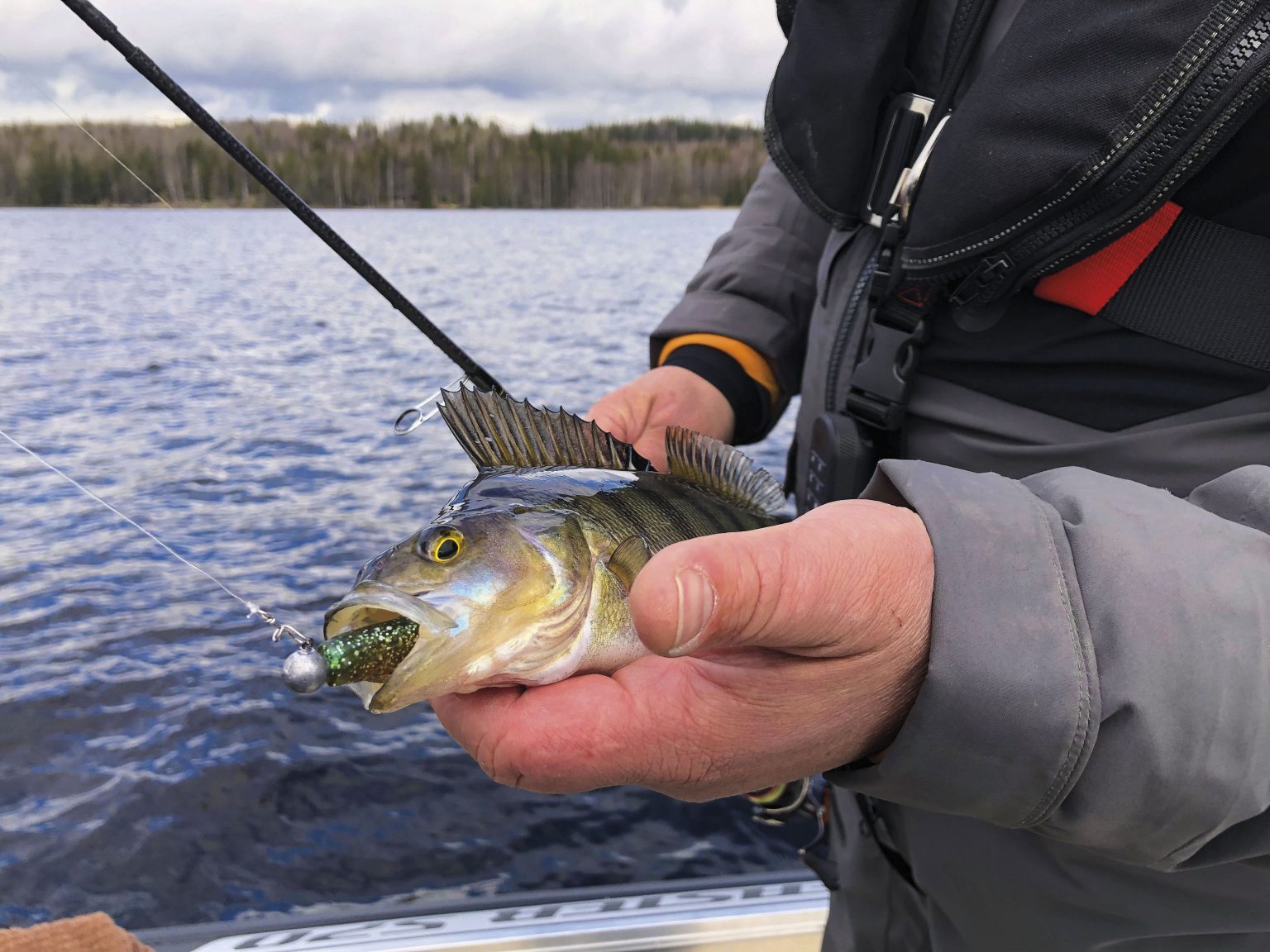 Mitä ja missä kannattaa kalastaa syksyllä - Kalastajan Kanava