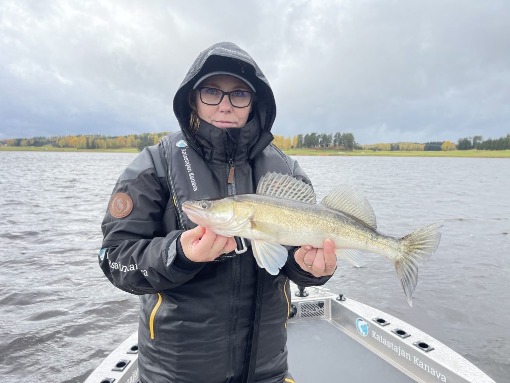Mitä ja missä kannattaa kalastaa syksyllä - Kalastajan Kanava