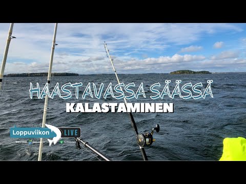 Video Haastavassa säässä kalastus | Loppuviikon LivE - Kalastajan Kanava