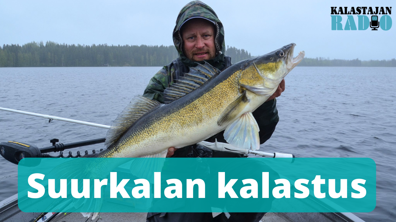 PodcastSuurkalan kalastus - Kalastajan Kanava