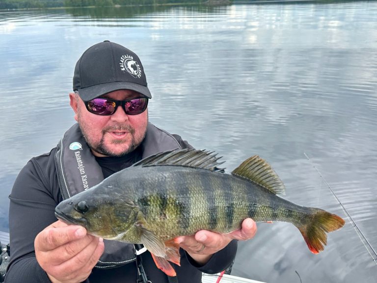 Ahven - Kalastajan Kanava