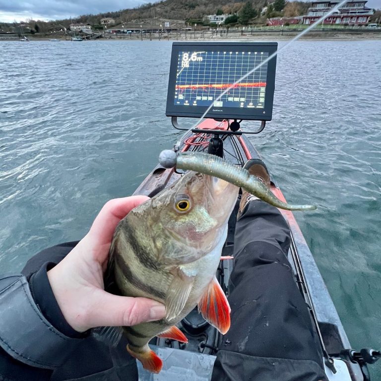 Ahven - Kalastajan Kanava