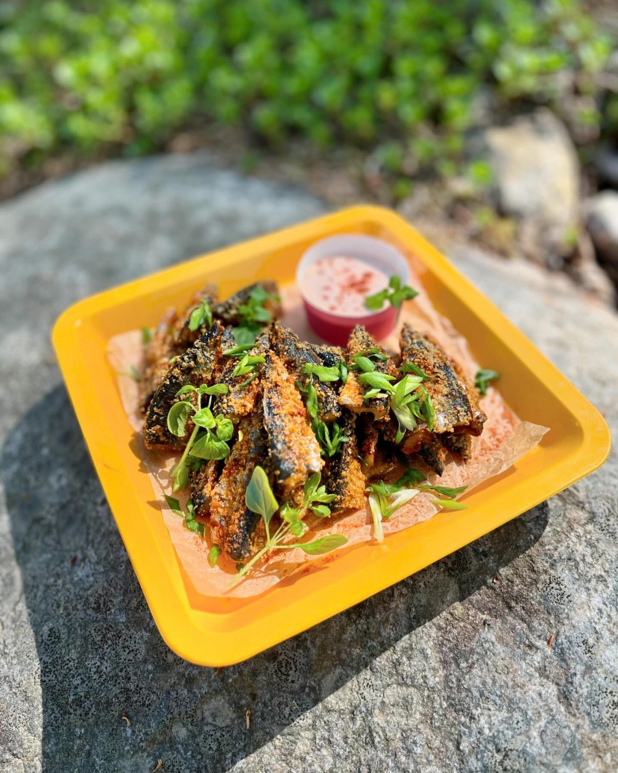 Silakka - Kalastajan Kanava