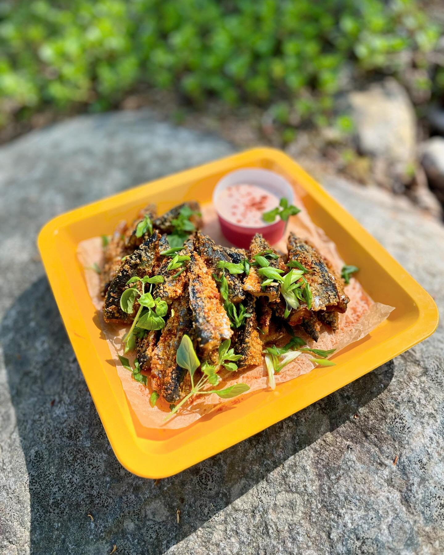 Silakka - Kalastajan Kanava