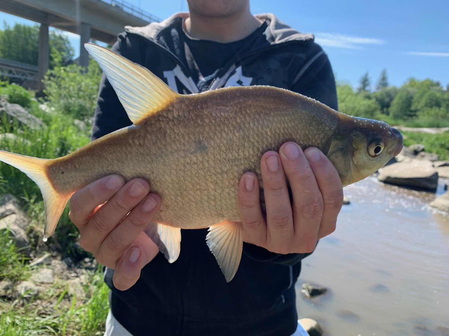 Lahna - Kalastajan Kanava
