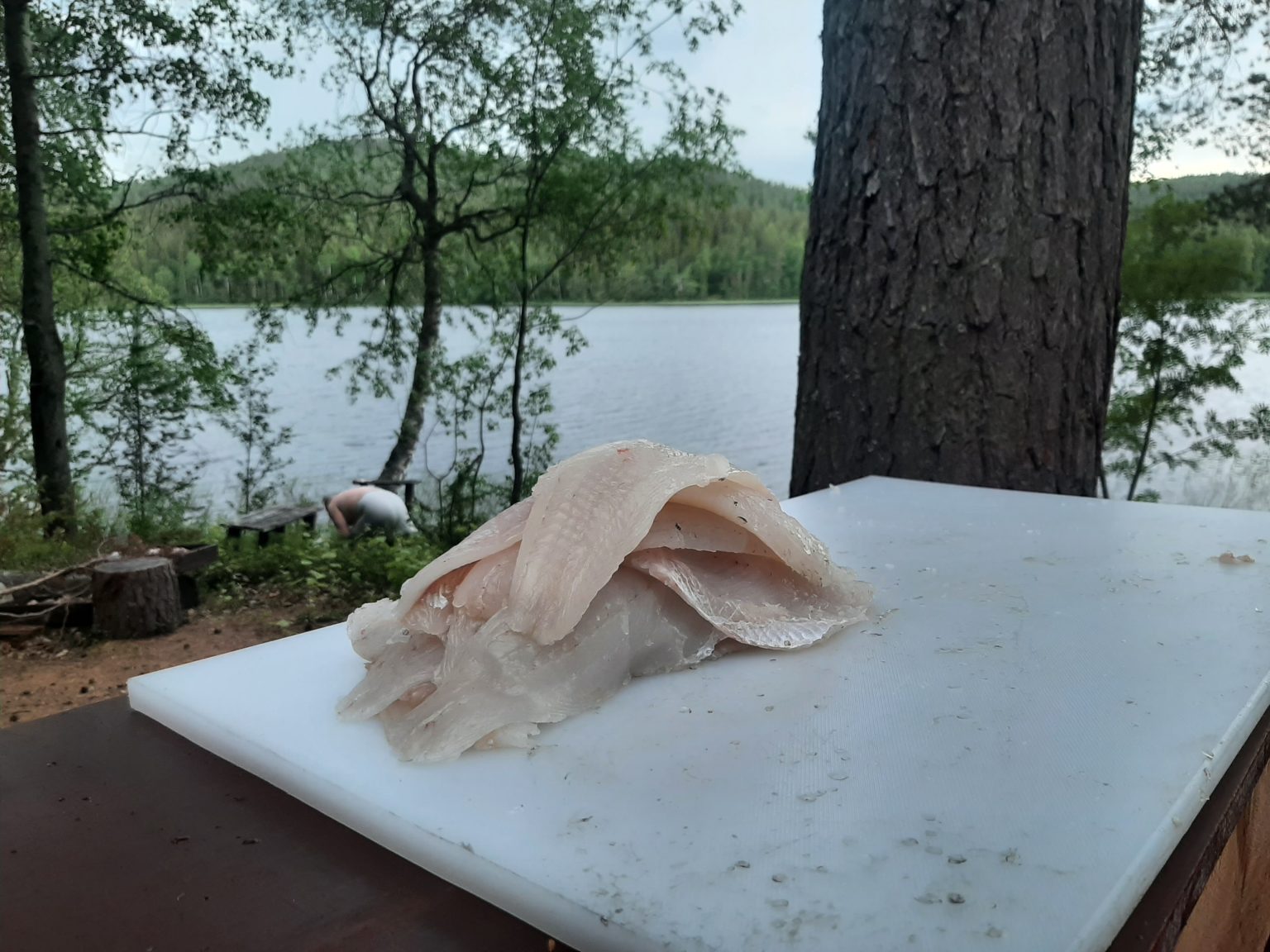 Kuha - Kalastajan Kanava