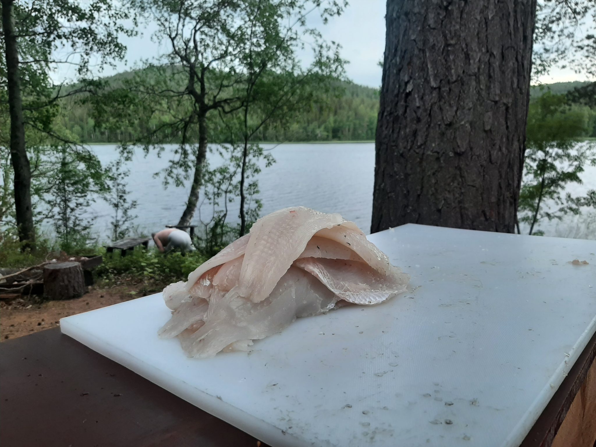 Kuha - Kalastajan Kanava