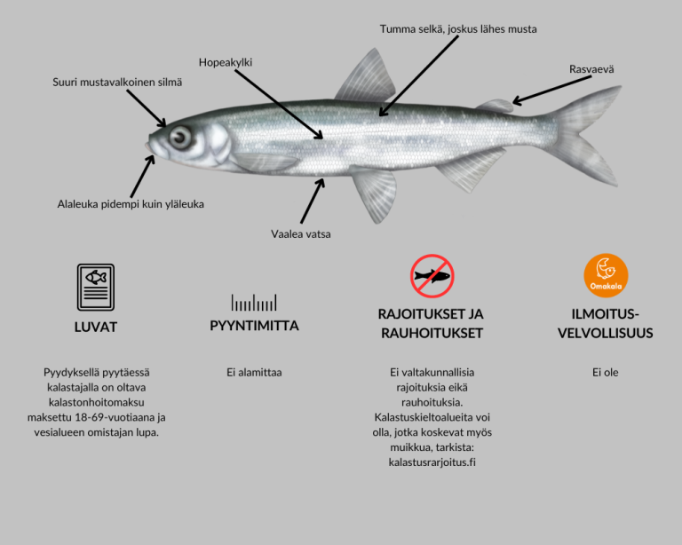 Muikku - Kalastajan Kanava