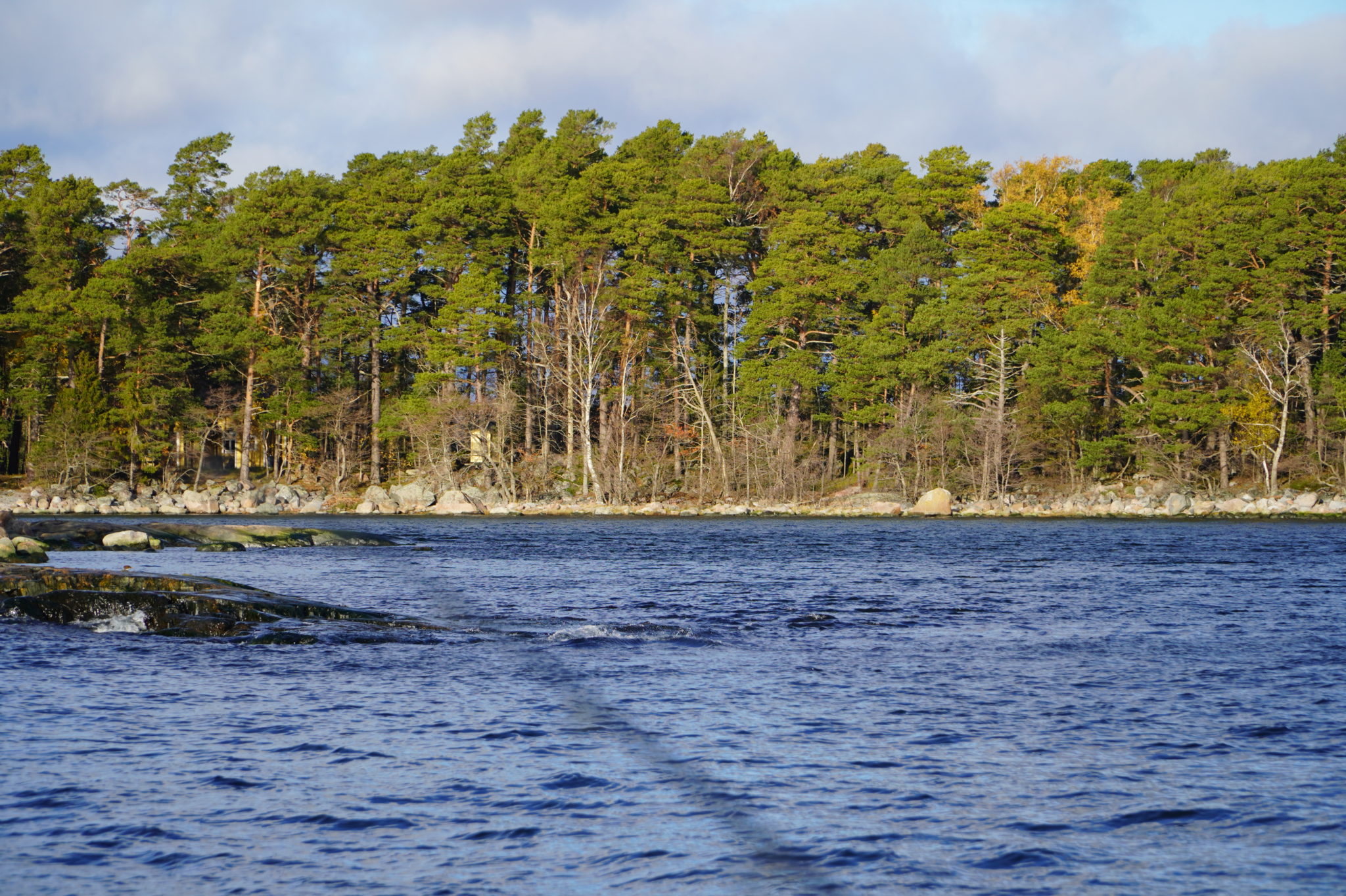 Meritaimenen kalastus - Kalastajan Kanava