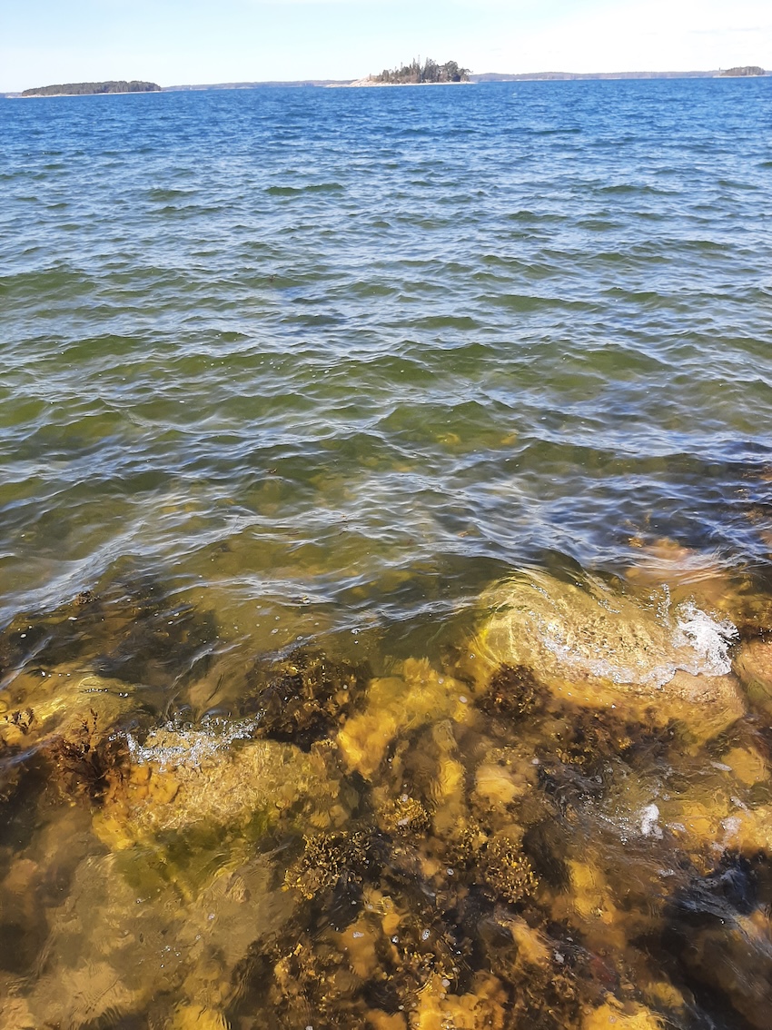 Meritaimenen kalastus - Kalastajan Kanava