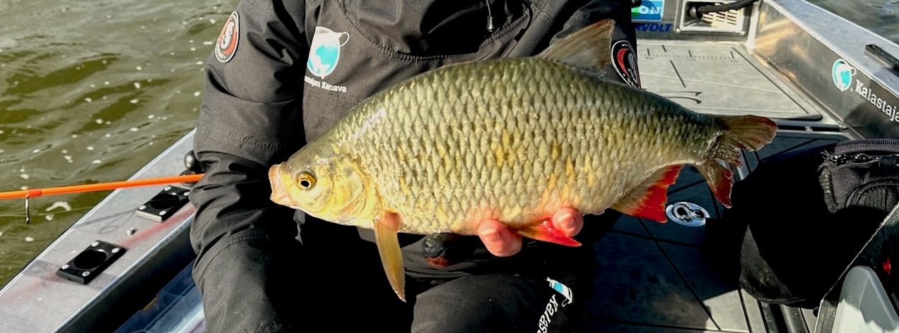 Sorvan kalastus merellä - Kalastajan Kanava
