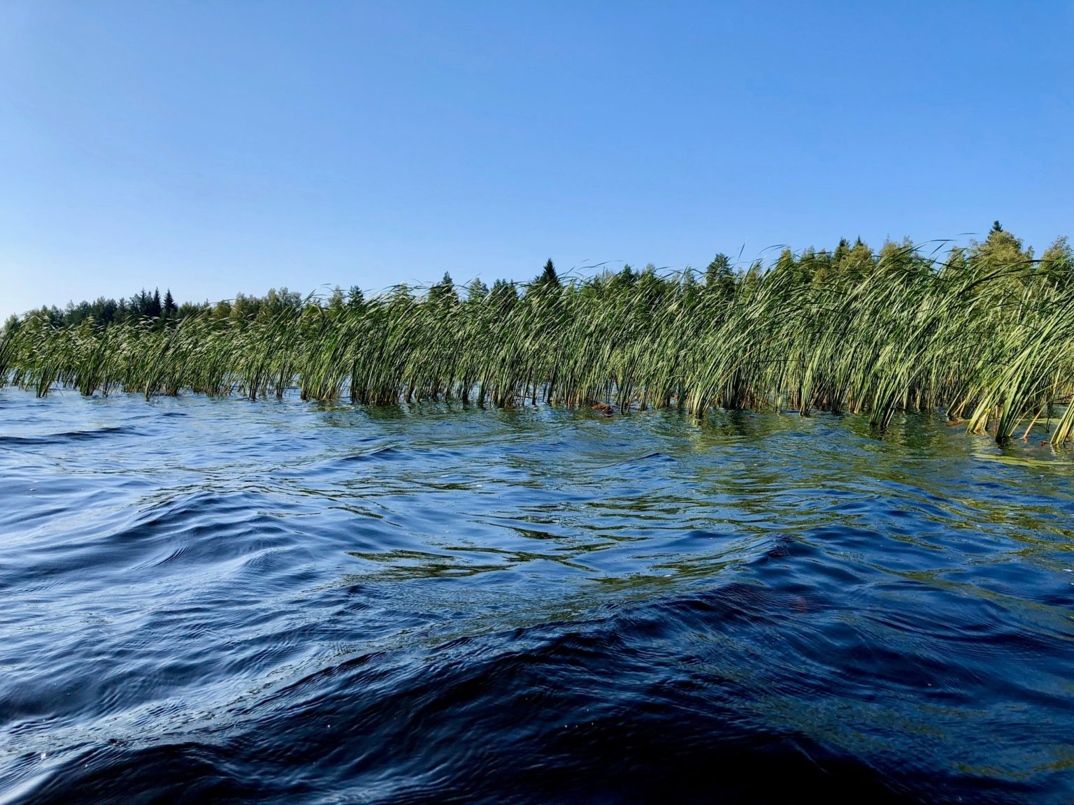 Viisi varmaa vinkkiä onnistuneeseen kesäkalastukseen - Kalastajan Kanava